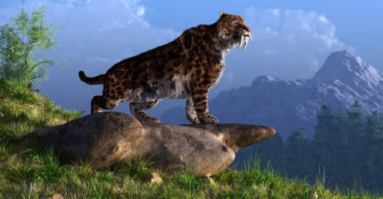 Características de la Era Cenozoica