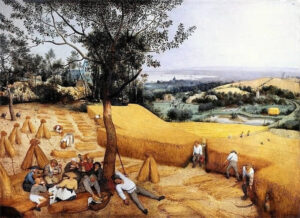 Características de la Fisiocracia